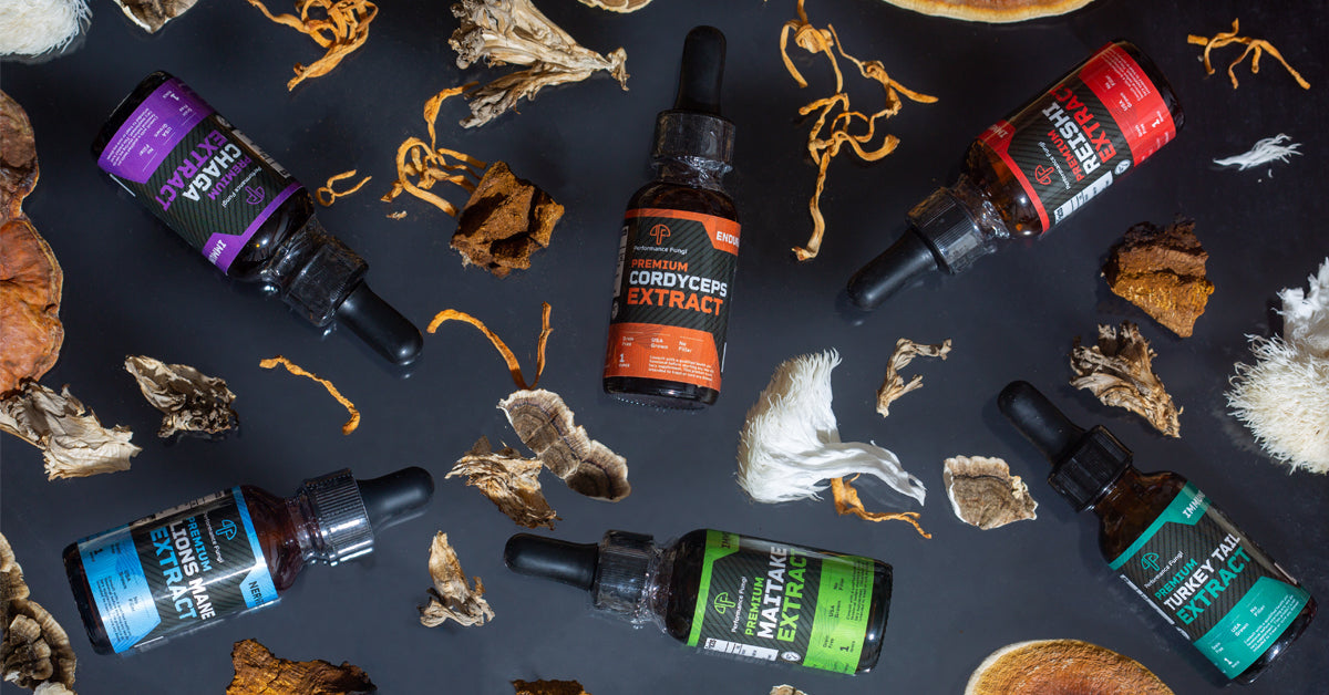 Performance Fungi: Premium Mushroom Supplements